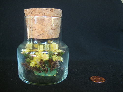 Jar of Flowers | Significant Objects