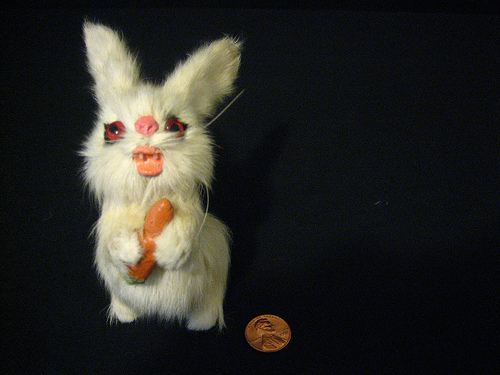 Bunny | Significant Objects